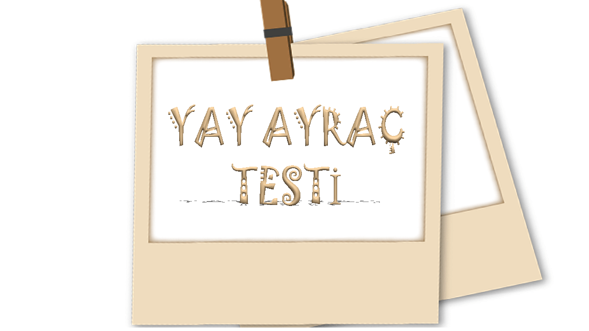 Yay Ayraç Testi - Yeni Nesil Türkçe